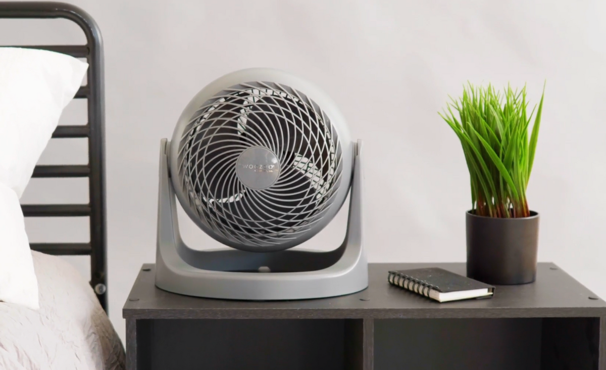 Best College Dorm Fans for Students to Stay Cool in 2024 – All About Tidy